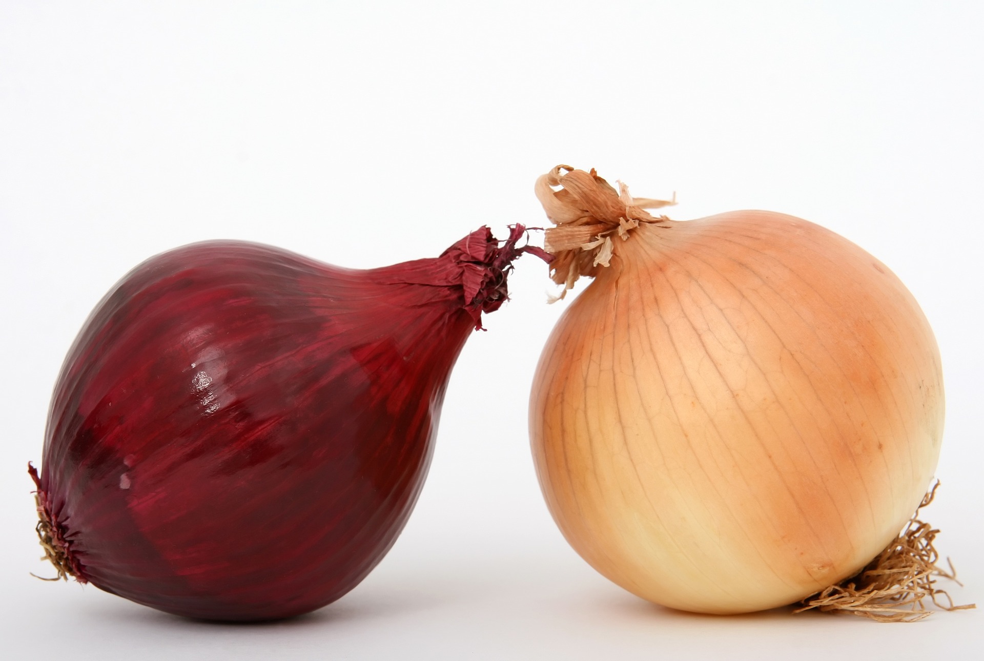 From onions to explosions – the context of risk | SafetyQuo.com